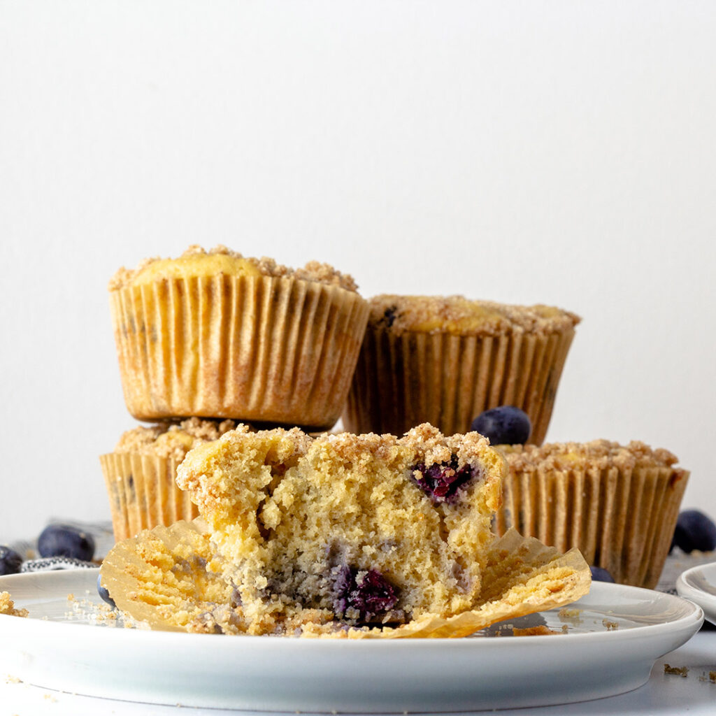 Blueberry Protein Muffins - Andréa's Protein Cakery