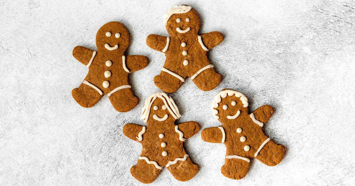 Gingerbread Protein Cookies - proteincakery.com