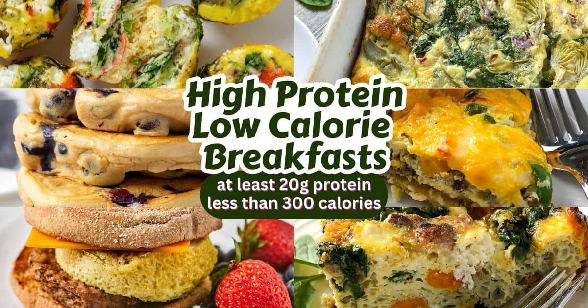 20 High Protein Low Calorie Breakfast Recipes - proteincakery.com